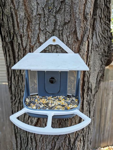 Paragon Project Feeding Birds With A Raspberry Pi Picockpit