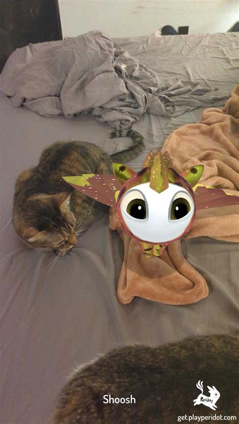 Peridot Review Cute Cuddly Confusing Costly