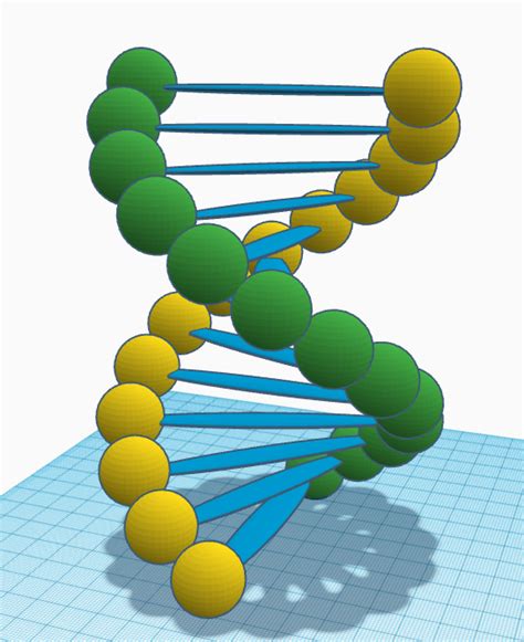TinkercadでDNAモデルを一瞬で作る方法理科嫌いな小学生中学生向け Ayumi Media 生き抜く子供を育てたい