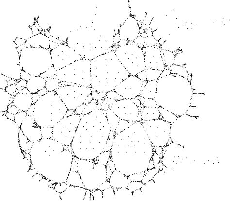 Recovering Area Shapes From Anonymous Contact Tracing Data Shaping