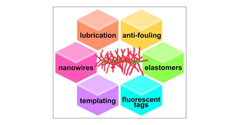 Molecular Bottlebrushes As Novel Materials Biomacromolecules