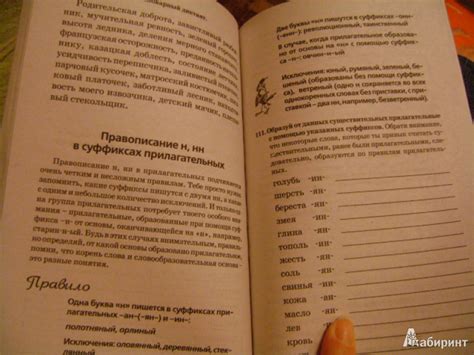 Книга: Пишем без ошибок. Все правила русского языка. 100% грамотность ...