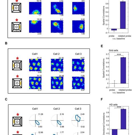 Effect Of Rotating The Virtual Environment On Spatial Firing Patterns Download Scientific
