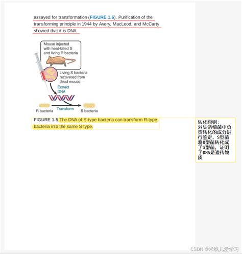 Gene Xii 学习笔记 12基因xii Pdf Csdn博客