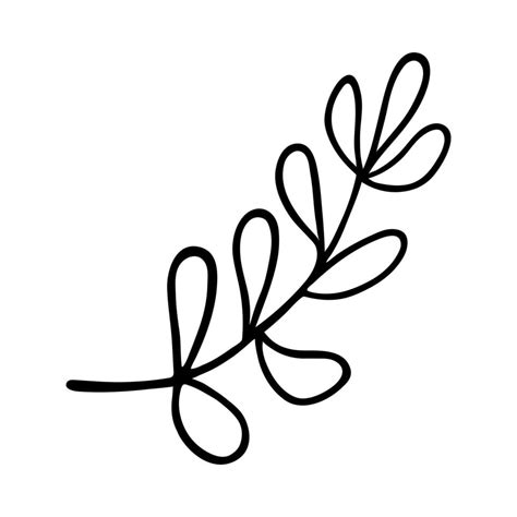 Tree Branch Vector Icon Hand Drawn Simple Doodle Isolated On White Stem Of Herb With Oval