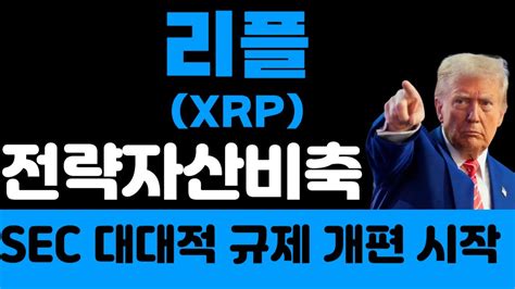 리플 코인 전략자산비축 역대급 Sec규제개편 지금부터 불장이 시작됐다 리플 리플코인 엑스알피 엑스알피코인 Youtube