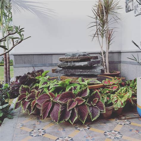 Silbata Fountain Kazi Landscape Design Facebook