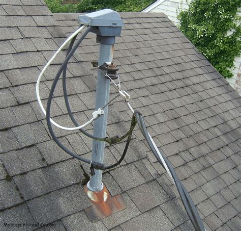 What Is A Drip Loop And Why You Need It · My Busy Retired Life