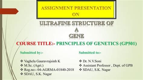 The Structure And Function Of Genes Pptx Genetics Science