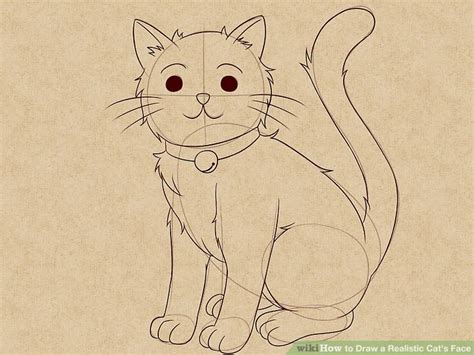 How To Draw A Realistic Cat S Face 11 Steps With Pictures