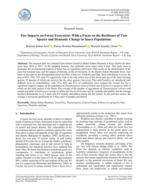 Forest Fire Impact Tree Resilience Insect Change