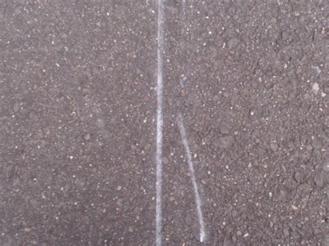 Horilinedetectiondarknet Roboflow Universe