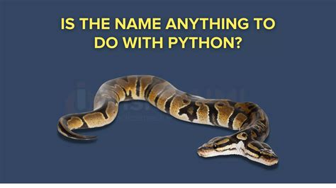 Introduction To Python Programming Insideaiml Ppt Introduction To Python Programming Insideaiml Ppt
