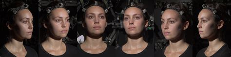 Digital Emily On Github Duiker Research Corp