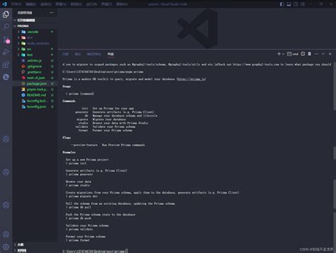 号称下一代nodejs，typescript以及go的orm的prisma 浅谈如何在nestjs中使用nestjs Prisma Csdn博客