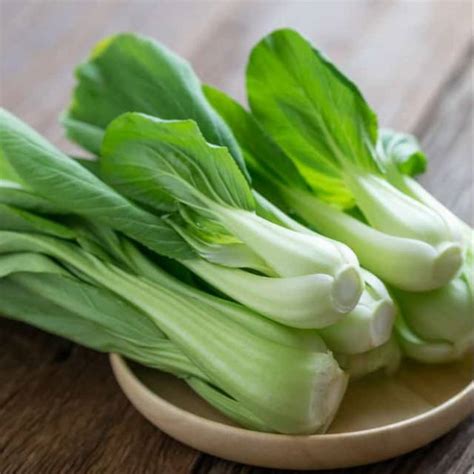 Jual Biji Benih Pakcoy Sawi Daging 200 Shopee Indonesia