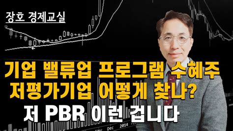 저 Pbr 이런 겁니다 기업 밸류업 프로그램 수혜주 Youtube
