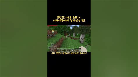 마인크래프트 마크 서바이벌 초보가 살아남는 법 Shorts Youtube
