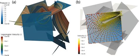 a subset of a dfn that shows particle trajectories experiencing