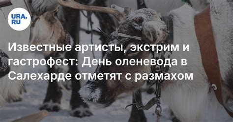 Программа Дня оленевода в Салехарде 22 и 23 марта 2025 года какие звезды приедут