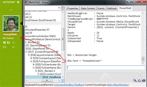 Bling On Software Development Snoopshell The Marriage Of Snoop Wpf