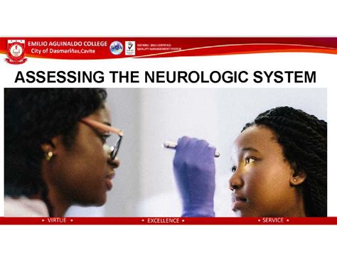 Assessment Of The Neurologic System Assessing The Neurologic System Neurologic