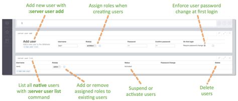 Native User Security Access Control In Neo J