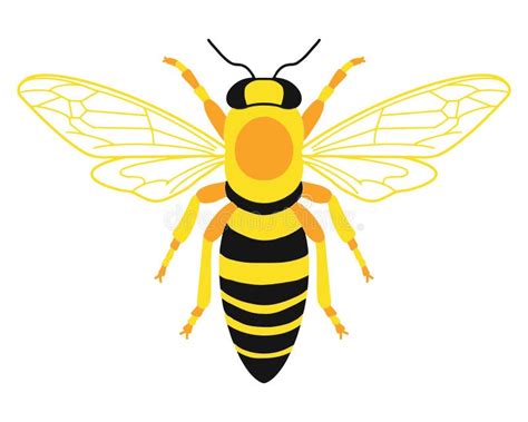 A Bee Simple Vector Illustration Stock Vector Illustration Of Bees Apis 307216369