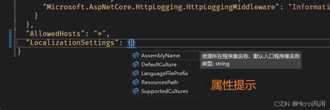 Json Schema 入门指南：如何定义和验证 Json 数据结构 技术栈
