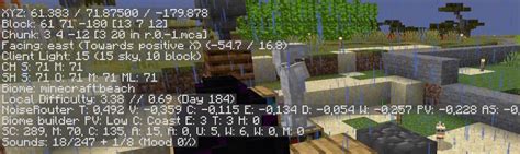 Minecraft F3 Debug Screen Explained Beebom