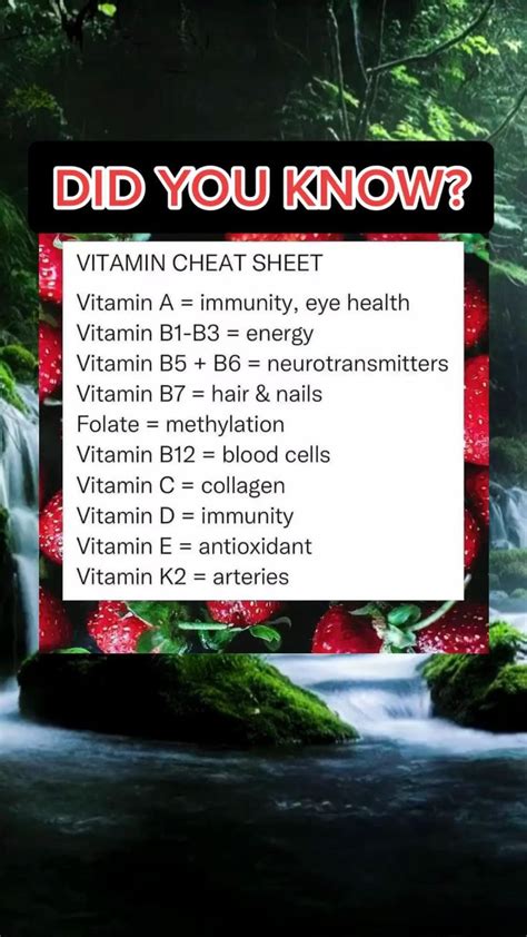 Did You Know Vitamin Cheat Sheet Health Heal Health Knowledge Health