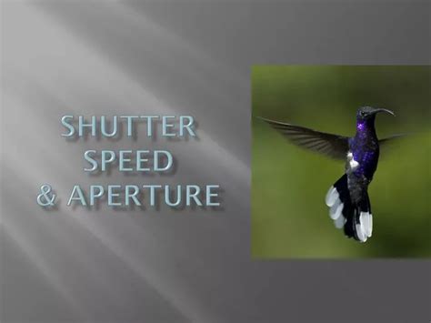 PPT Shutter Speed Aperture PowerPoint Presentation Free Download ID 2632319
