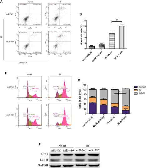 Frontiers Analysis Of MiRNA MRNA Crosstalk In Radiation Induced Mouse