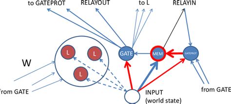 A Spiking Neural Network Learning Markov Chain