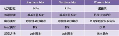 分子生物学整理基因和dna笔记（一） 知乎