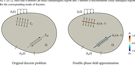double phase field approximation of the discontinuous geometries of