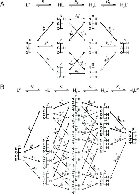 This Figure Was Reproduced From 6 10 In This Figure The Protonation