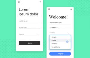 Wireframe Vs Mockup Software For Designing A User Flow