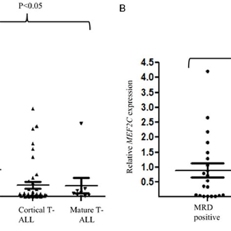 Plot Demonstrating Expression Of Mef2c Gene In Relation To A Various Download Scientific