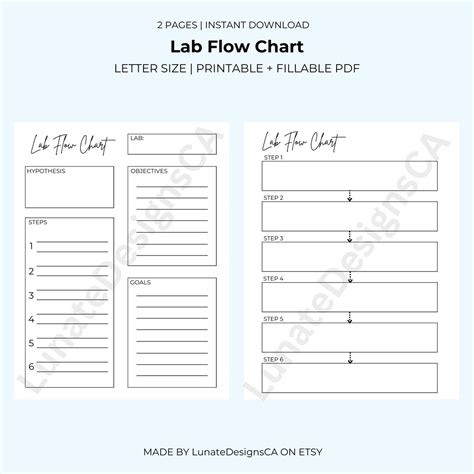 Science Lab Flow Chart School Flow Chart Biologynursingkinesiology