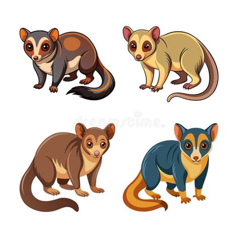 Realistic Cuscus Color Illustration Stock Vector Illustration Of Collection Cartoon 365746682