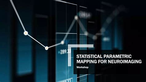 Statistical Parametric Mapping Ppt