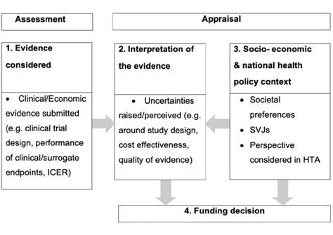 Methodological Framework On The Analysis Of The Hta Process And