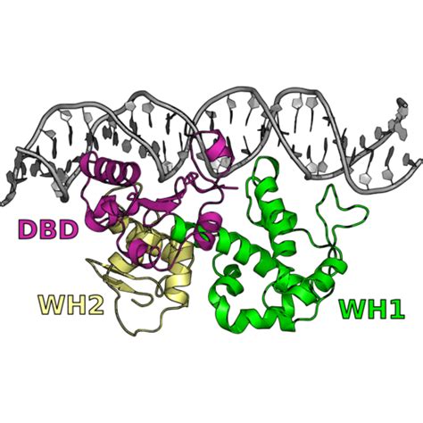 Pdb Ihm Validation Report