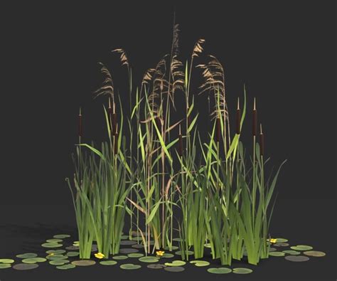 Artstation Modular Wetland Plants Set 01 Game Assets