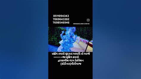 Viralvideo Viralshorts Viralhog Newviralshorts1 India Youtube