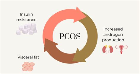 Pcos Belly Future Woman