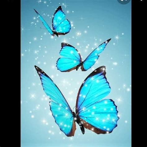 Pixie Cat Hello Im Pixie I Love Fashion Just Like This