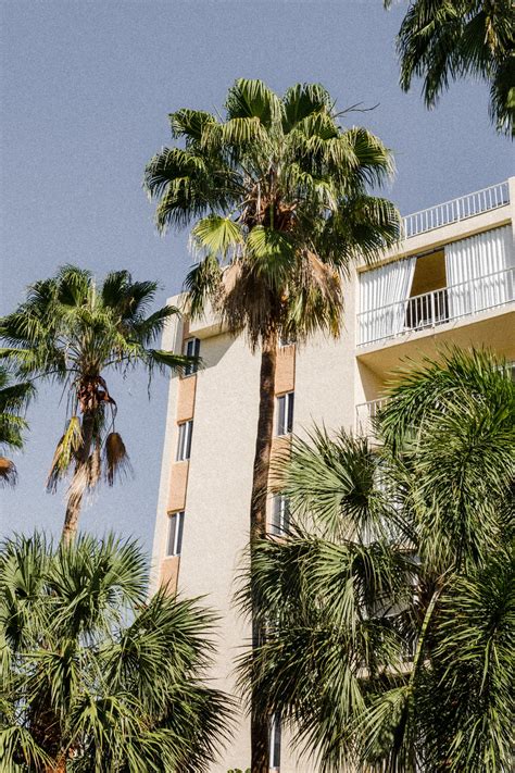 Danielle Horvath Miami I Tacit