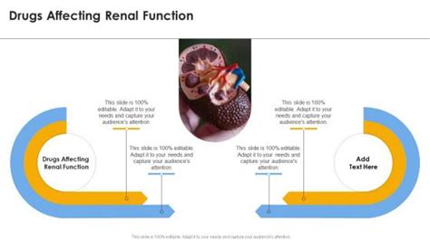 Drugs Affecting Renal Function Powerpoint Presentation And Slides Ppt